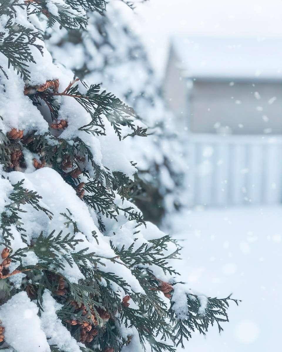 ESL Conversation Questions About Snow